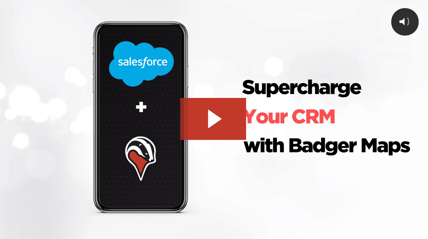 Integrate Salesforce Crm With Badger Maps Badger Maps 9922